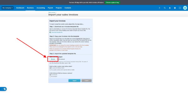 Invoices - importing into Xero - Garage Invoice